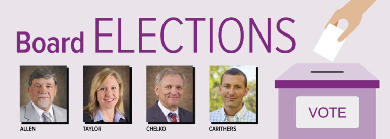 Board candidates announced